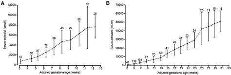 Estrogen Levels During Pregnancy