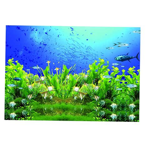 Telón De Fondo De Imagen De Peces Sola Planta Adhesiva 3d De Definición