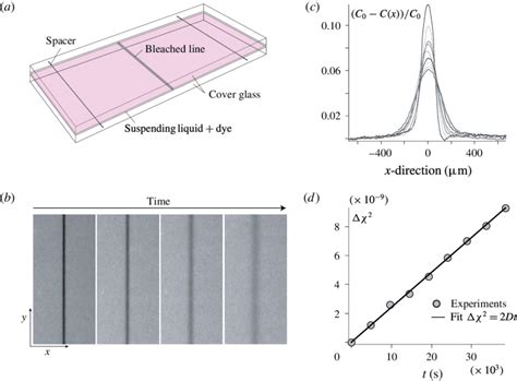 Colour Online A Schematics Of The Set Up Used To Measure The Download Scientific Diagram