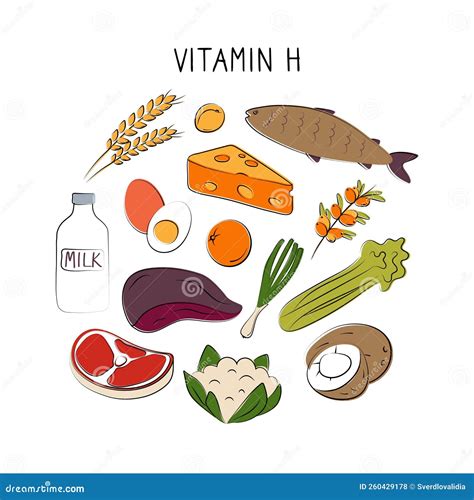 Vitamin H Biotin Groups Of Healthy Products Containing Vitamins Set