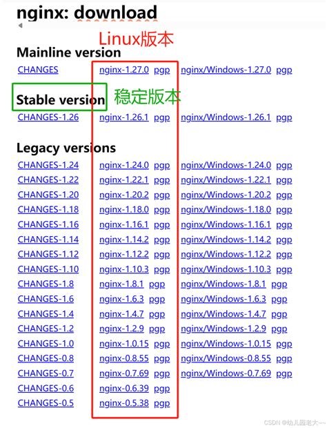 Linux系统下安装配置nginx（保姆级教程）nginx安装教程linux Csdn博客