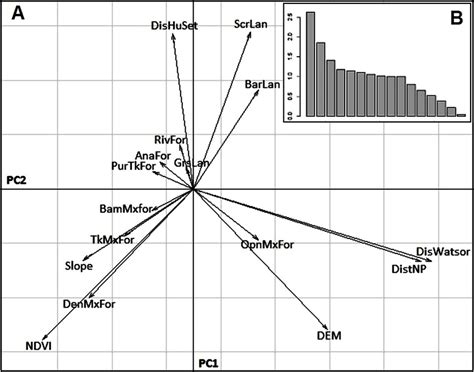 principal component analysis a plot showing first two principal