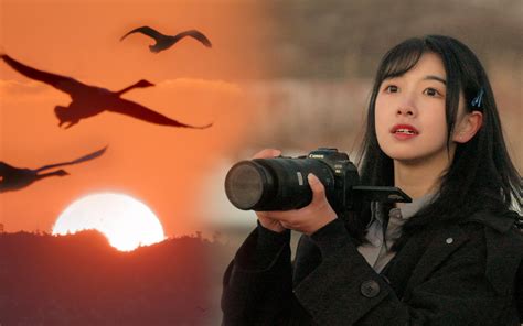 去威海！遇见童话里的天鹅！ 小软iris 小软iris 哔哩哔哩视频