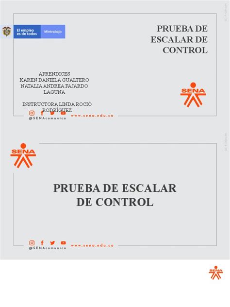 Prueba Escalar De Control Presentación Natalia Fajardo Karen Gualtero Power Point Pdf