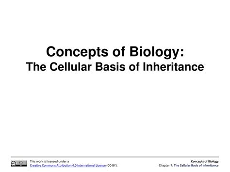 Ppt Concepts Of Biology The Cellular Basis Of Inheritance Powerpoint