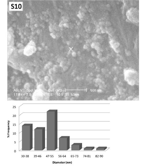 sem photographs and the corresponding particle size distribution