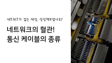 통신 케이블의 종류와 개념 통신케이블 Youtube