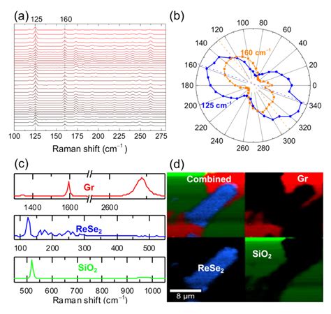 A Incident Light Polarization Dependent Raman Spectra Obtained By Download Scientific