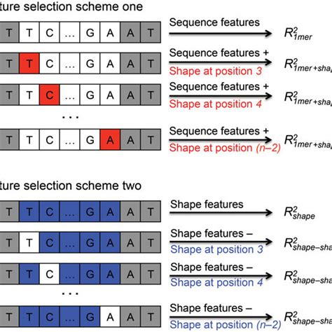 Schematic Representation Of Feature Selection Process A Download