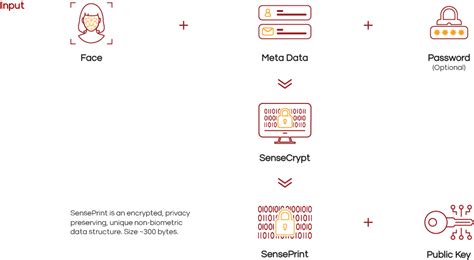 revolutionizing security face based pki with sensecrypt