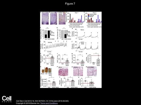 Volume Issue Pages October Ppt Download
