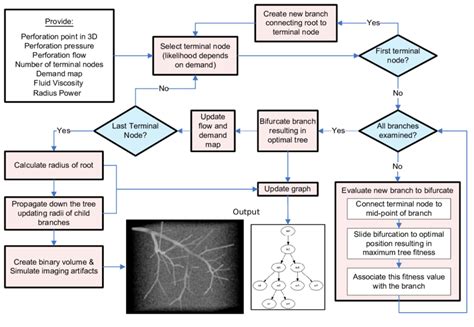 flow chart depicting the overall progress of the algorithm download