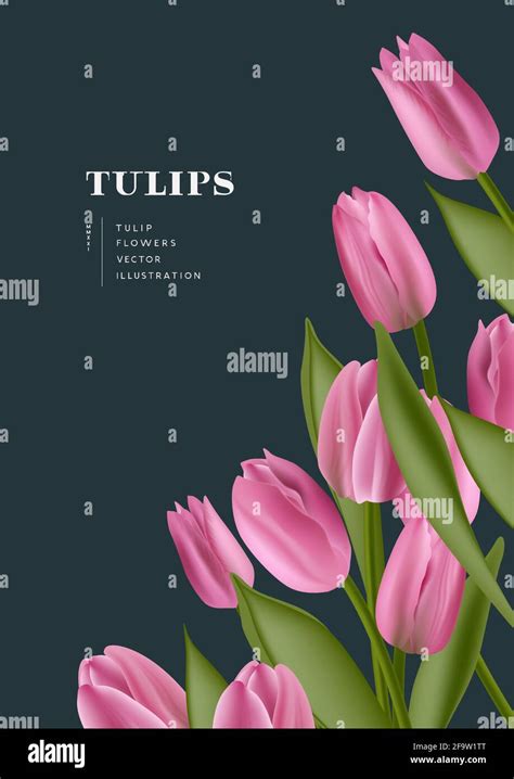 Pink Realistic Tulips Flowers Background Layout Contemporary Layout