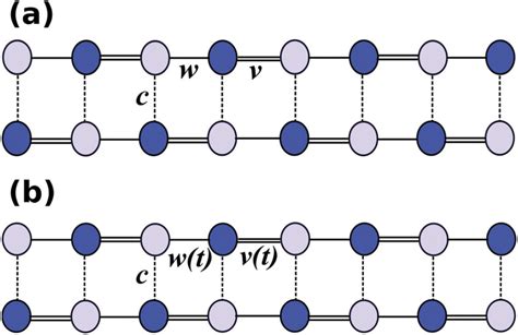 Schematic Representation Of The Two Coupled One Dimensional Ssh Chains