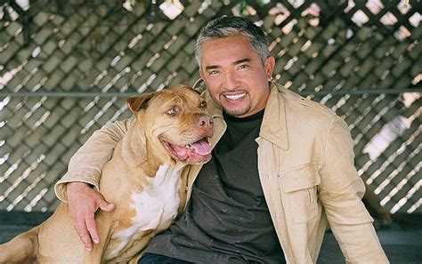 Qué Pasó Con César Millán El “encantador De Perros” Mag El
