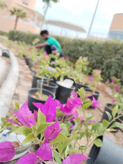 Afsar Khan Posted On Linkedin