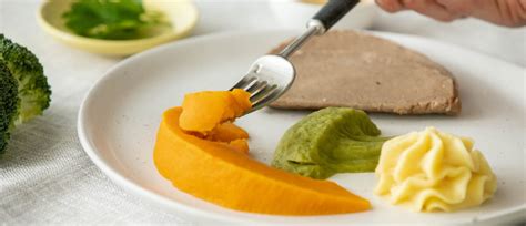 Texture Modified Meals For Dysphagia Textured Concept Foods