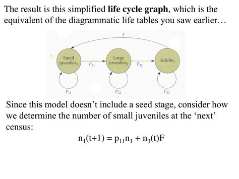 Ppt The Leslie Matrix Powerpoint Presentation Free Download Id9106132