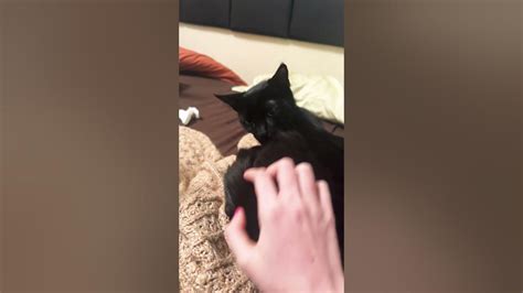 Cute Spyder Part 13 Youtube