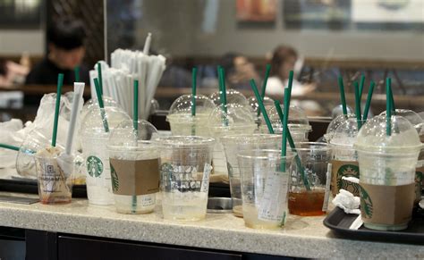 매장 내 종이컵 전면 허용 플라스틱 빨대도 쓸 수 있다