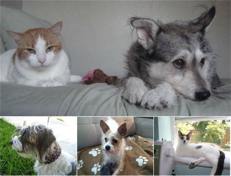 Sassy Sites Sunday Spotlight