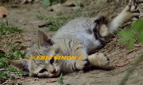 Eric Simon Eric Simon Added A New Photo