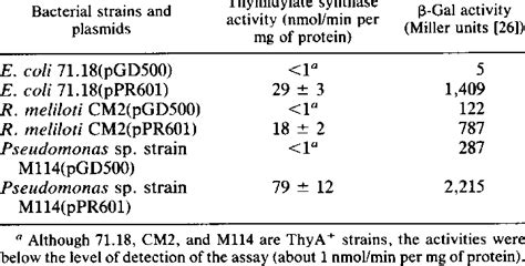 P Gal And Thymidylate Synthase Activities In E Coli 7118 Lacz R
