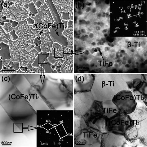 A Sem Microstructure Of The Semi Solid Sintered Alloy At 1100 °c B