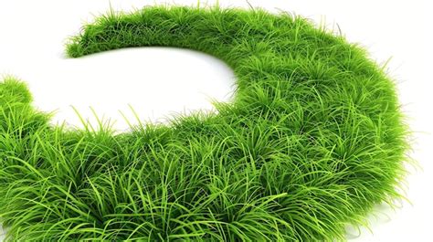 14000 Grass Forms Pictures