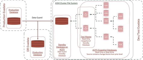 Asm Cluster File System Snapshots On Exadata