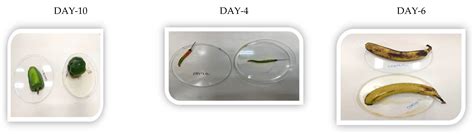 Developing Biopolymer Based Edible Films With Improved Anti Microbial Properties