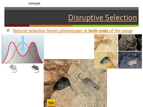 modes of selection lesson