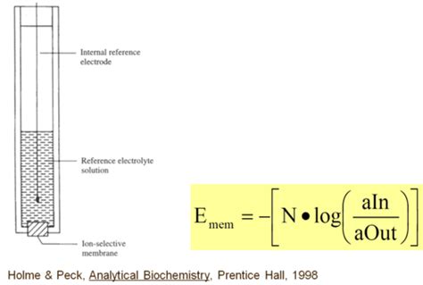 Amperometry Flashcards Quizlet