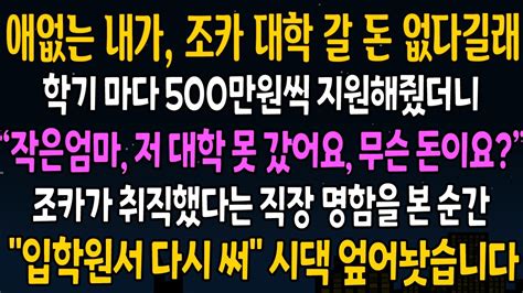 반전사연 아이 없는 내가 조카가 대학 학비 없다는게 안쓰러워 매년 학비 전액 지원했더니 조카가 한푼도 못받았다며 연락오는데 신청사연 사연라디오 사이다썰