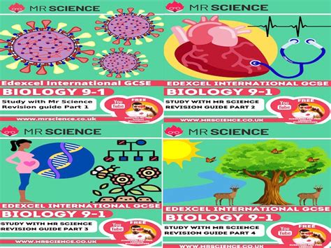 Secondary School Teaching Resources Ks3 Gcse And Beyond Tes