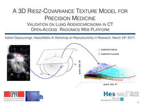 Pdf A 3d Riesz Covariance Texture Model For Precision Medicine Validation On Lung