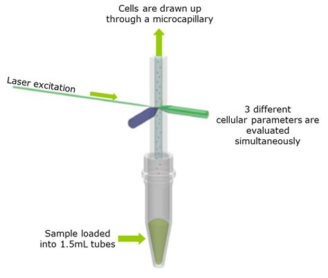 Muse Cytek Biosciences