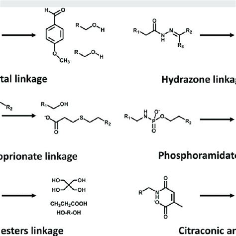 Chemical Modifications Of Sirna Download Scientific Diagram