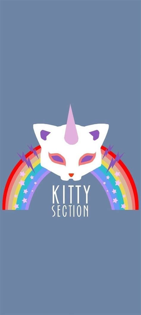 Kitty Section Wallpaper Miraculous Ladybug Funny Miraculous Ladybug