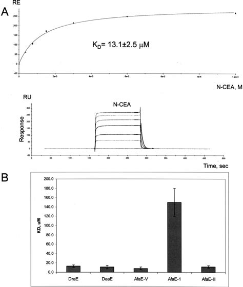 Spr Measurement Of N Cea Affinity K D To Dr Adhesins A Spr Binding
