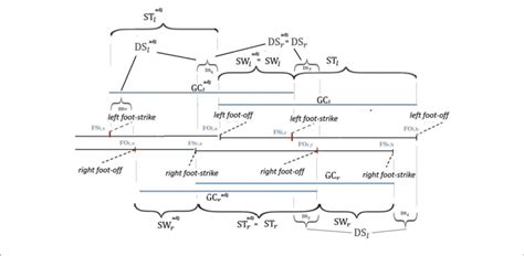 Composite Gait Cycle Right And Left Gait Cycles And Adjoint Right