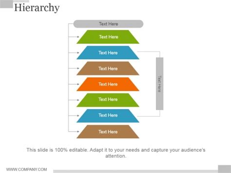 Hierarchy Ppt PowerPoint Presentation Layouts Graphics Tutorials PowerPoint Templates