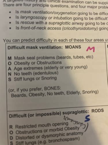 Airway Flashcards Quizlet