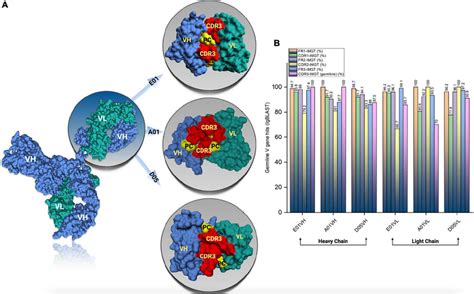 Antibody Structural Modeling A The Structural Representation Of The Download Scientific
