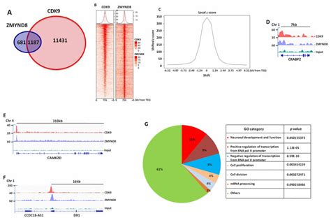 Genome Wide Co Occupancy Of Zmynd8 And P Tefb Complex On Target Genes