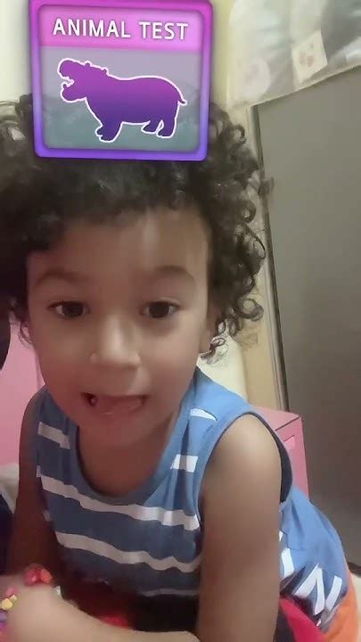 سنجاب 😂 Youtube