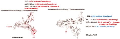 Vibrational Entropy Energy Between Wild Type And Mutant For Mutation