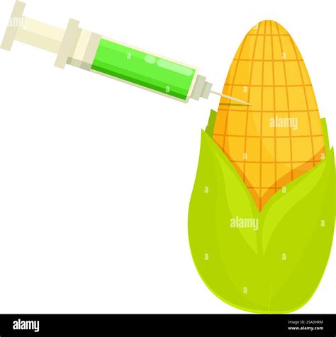 Graphic Design Depicting A Syringe Injecting A Corn Cob Symbolizing Genetic Modification Gmo