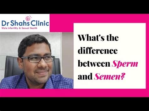 Whats The Difference Between Semen And Sperm Andrologist In Chennai For Male Infertility Treatment