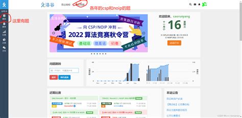 c 好用的网站 c 做题网站 csdn博客